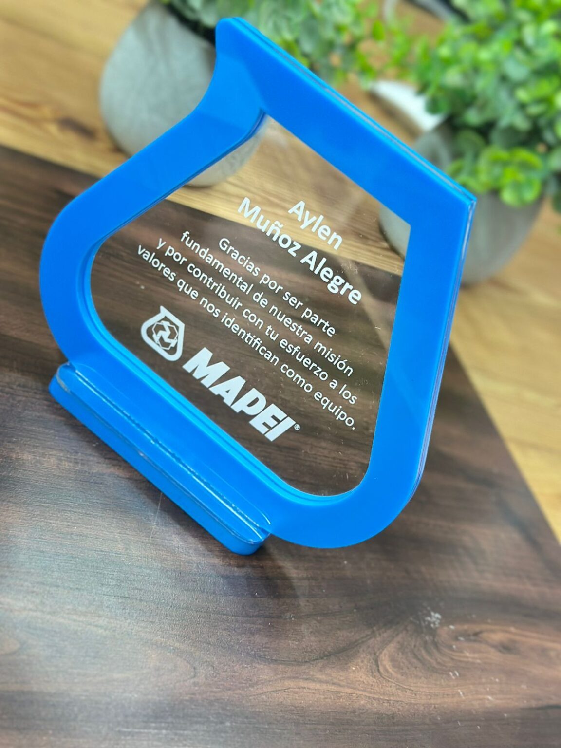 Premios ESPECIALES en Acrilico con colores y formas - Medallas Ibarra