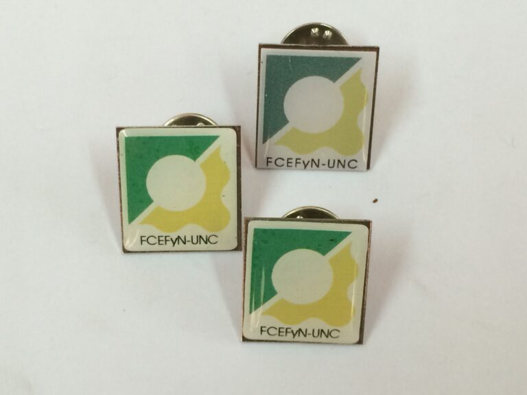 Pins Personalizados con Resina Alta Calidad y Diseño Exclusivo ...